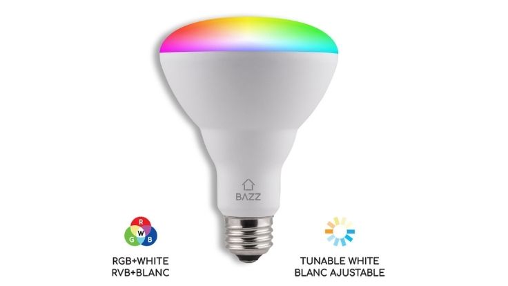 BR30 LED Light Bulbs FAQs | BAZZ Smart Home